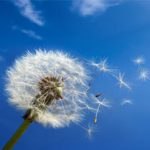 East Side Medical Practice - Dr. Eric Lutsky & Dr. Mara Pulcheri